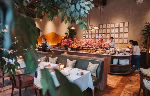 High Tea | Botanic Sanctuary Antwerp